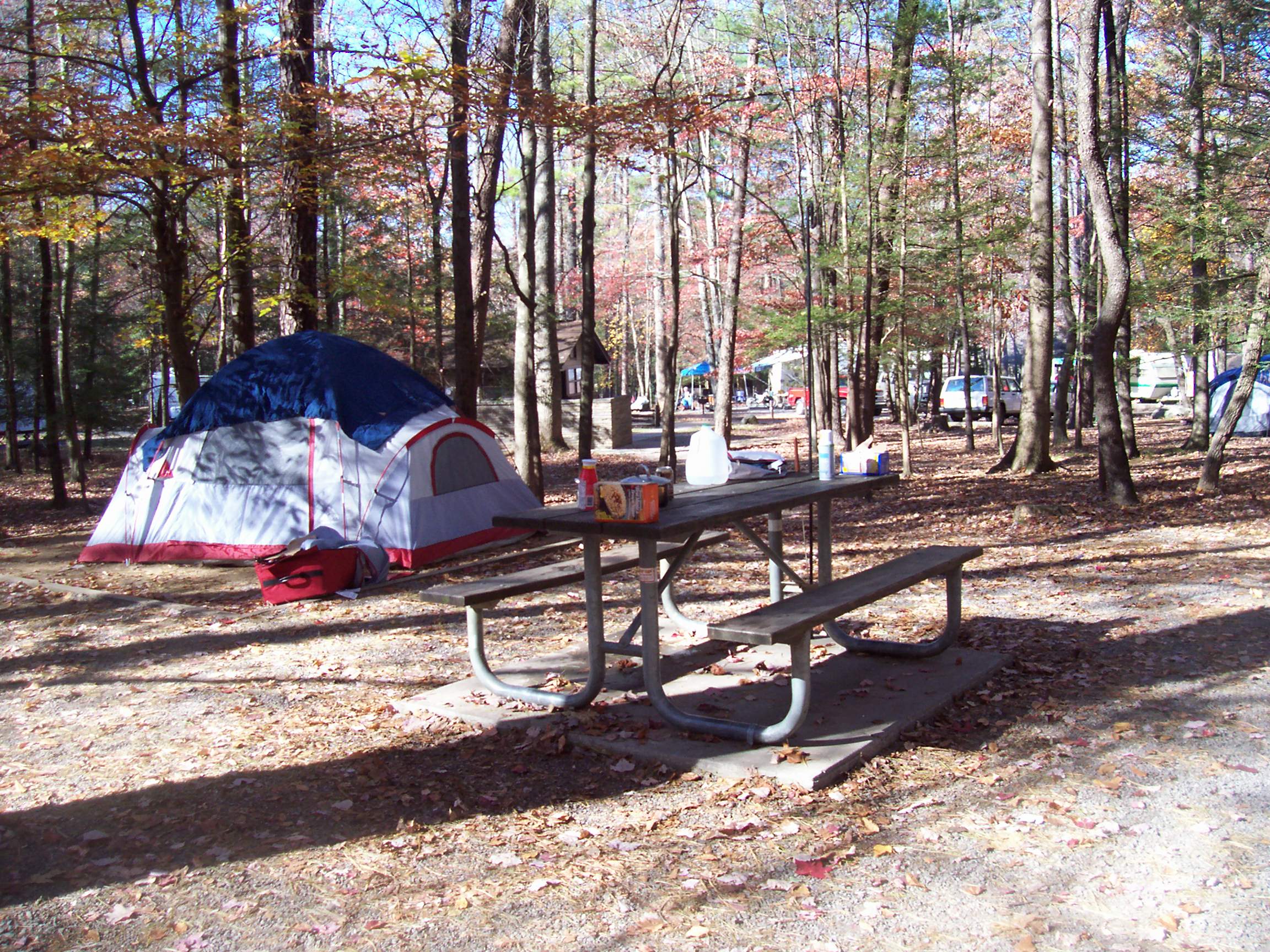 6 Easy Tips for Keeping Your Campsite Clean - Bethy Creek